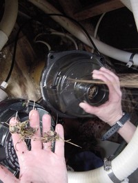 Troubleshooting and Repairing Pool Pumps by Andrew Scherer