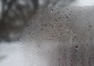 Window Condensation